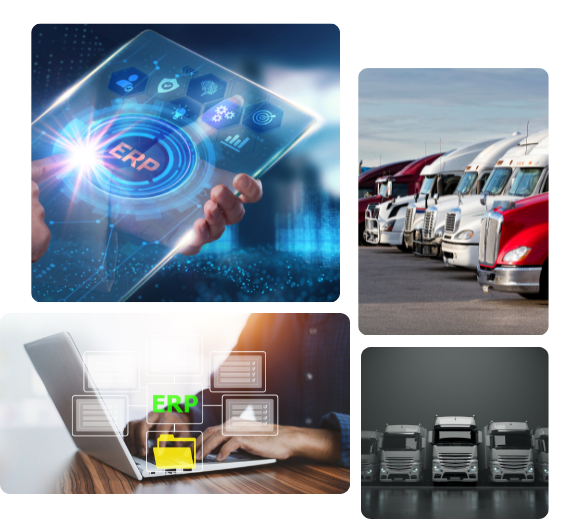 ERP Integration | Argus Logistics