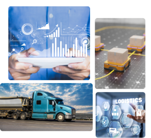 Seamless ERP Integration for Smarter Logistics | Argus Logistics